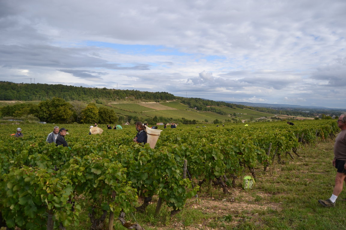 Gallery of Domaine de Villaine